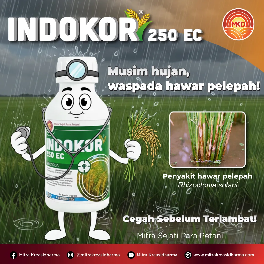 CONTROL SHEATH BLIGHT AND MAXIMIZE YOUR RICE YIELD WITH INDOKOR® 250 EC